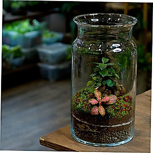 HANABASS 2 Boxes Tufts Scenery Tabletop Building Modelling Diorama Flower H Miniature Irregular Gaming for Cluster Hobby Static Train Railroad Adhesive Sand Bushy Layout Groups Grass of