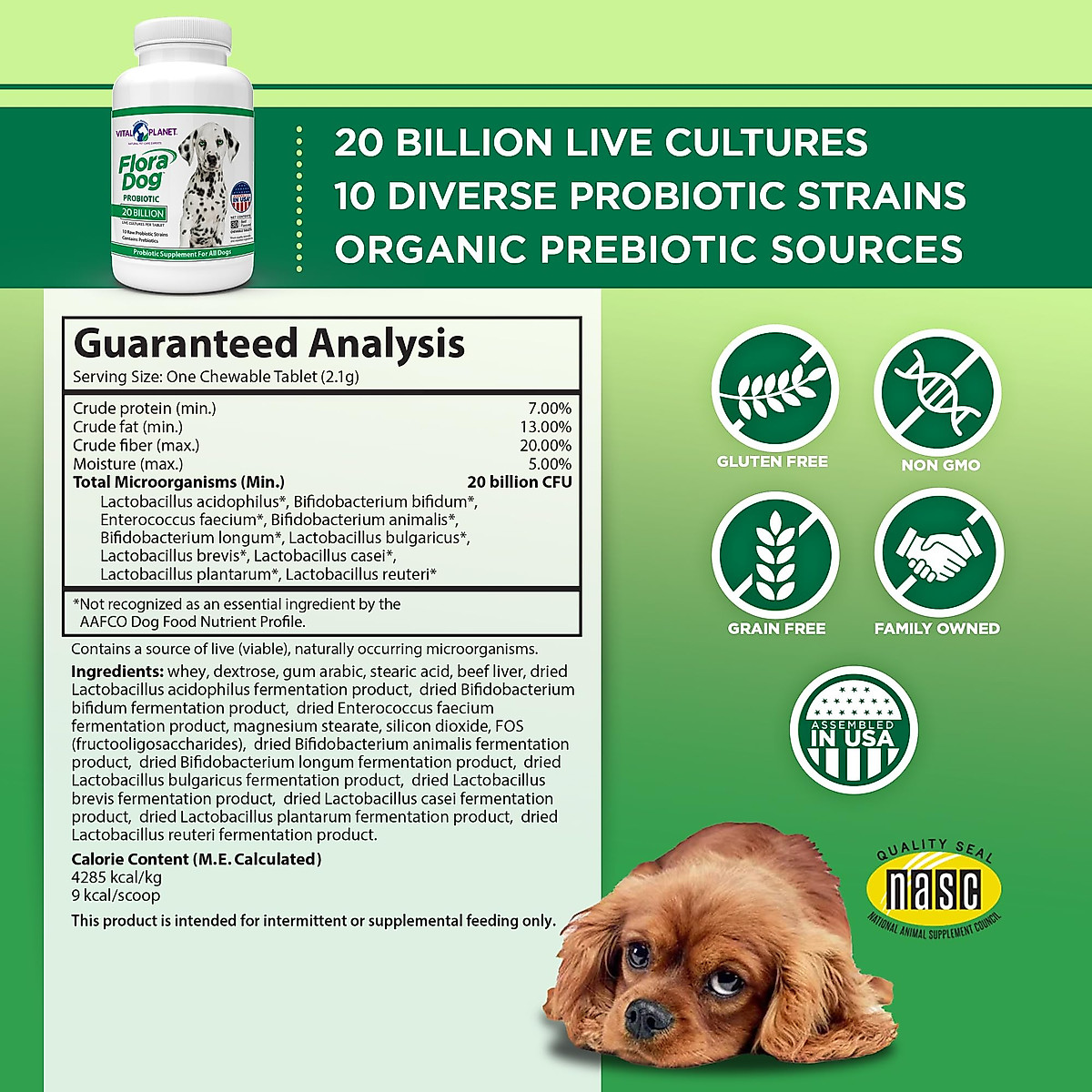 Vital Planet - Flora Dog Probiotic Chewable Tablets Supplement with 20 Billion Cultures and 10 Strains, High Potency Immune and Digestive Support Probiotics for Dogs, 30 Beef Flavored Chewable Tablets