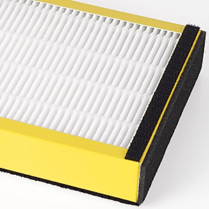 2 Pack FLT4825 True HEPA Filter B Replacement with 6 Activated Carbon Pre-Filters Compatible with Guardian AC4825 AC4300 AC4800 AC4900 AC4850 Air Purifier