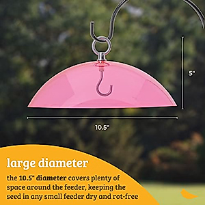 Birds Choice DOME Protective Dome, Protective Cover for Hanging Bird Feeders, 10", Clear