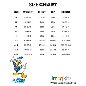 Disney Mickey Mouse Donald Duck Little Boys Fleece Hoodie Blue/White 7-8