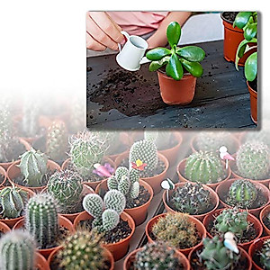 100 Pieces Plastic Plant Nursery Pots Reusable Plant Seeding Nursery Pot Flower Plant Containers Seed Starting Pots for Gardens, 3 Sizes (Brown)