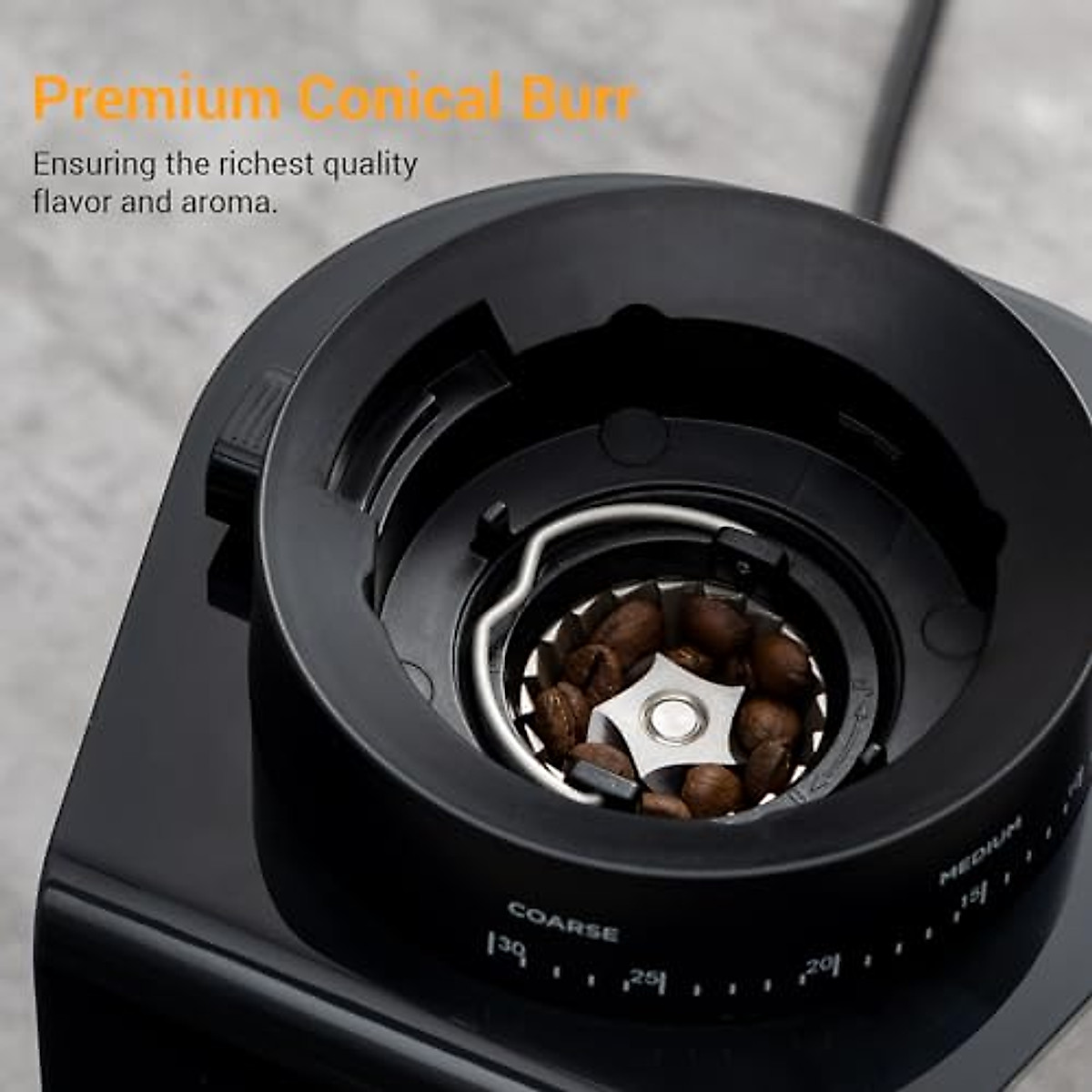 Ollygrin Electric Conical Burr Coffee Grinder, Coffee Bean Grinder Stainless Steel with Digital Timer Display, Coffee Bean Burr Mill Grinder with 30 Precise Grind Settings 12 Cups SilverV02S