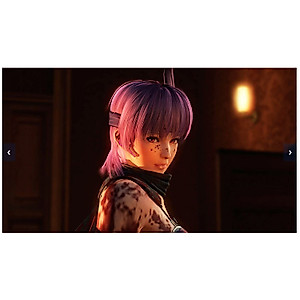 Ninja Gaiden: Master Collection (English) (Nintendo Switch)