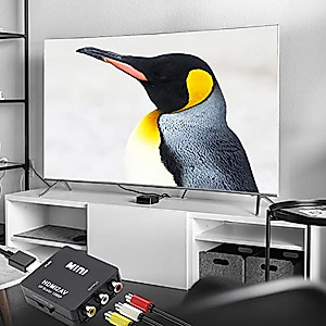 Sorthol HDMI to RCA Converter, 1080p HDMI to AV Converter Mini HDMI to 3RCA CVBs Composite Video Audio Adapter for TV/PS3/VHS/VCR/DVD/PC/Blu-Ray DVD