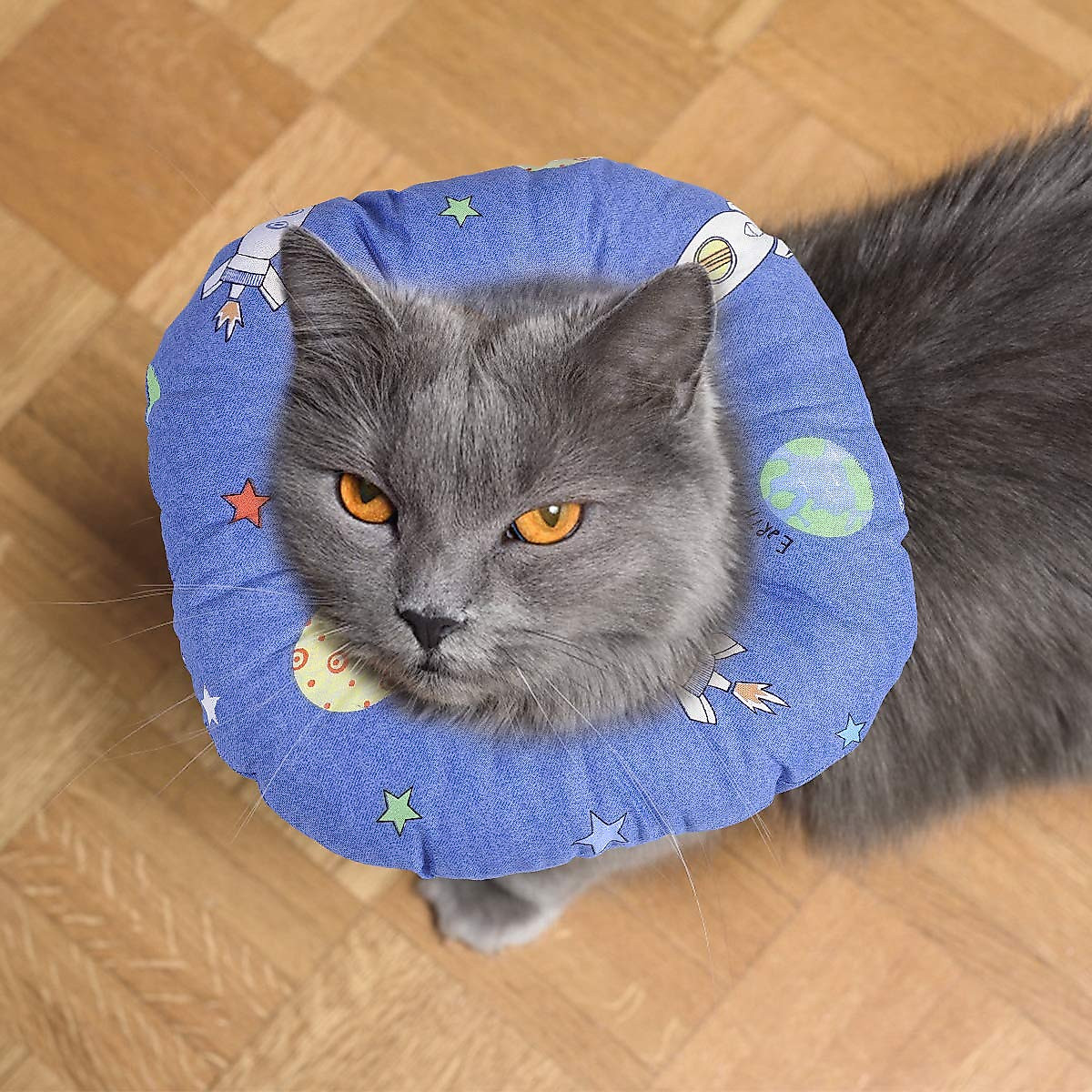 Cat Kitten Elizabeth Collar, Recovery Cone with Adjustable Soft Edge, Pet Headgear for -Bite Lick, Wound Healing Protection - Size M