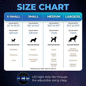 Blazin Brightest Light Up Dog Collars - The Original LED Dog Collar with 1,000 Feet of Visibility - USB Rechargeable Waterproof Dog Collar Light - Dog Lights for Night Walking - USA Brand