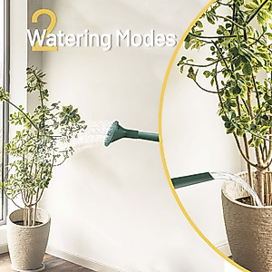 Watering Can for Indoor Plants, Small Watering Cans for House Plant Garden Flower, Long Spout Water Can for Outdoor Watering Plants 1.8L 1/2 Gallon