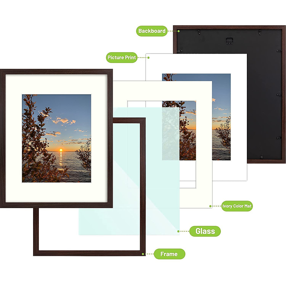 Golden State Art, 16x20 Picture Frames with Mat for 11x14 or 16x20 Picture Collage Gallery Wall Frame with Real Glass, Brown, 2 Pack