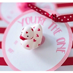 4E's Novelty Valentines Day Rubber Ducks (24 Pack) Heart Themed Duckies, Class Valentines Day Gifts for Kids Bulk, Valentines Day Party Favors Classroom Exchange Prizes for Kids Class