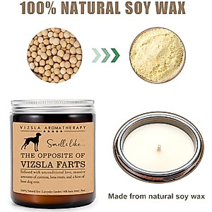 Vizsla Candle, Vizsla Funny Dog Gift, Vizsla Mom, Vizsla Dog Candle, Birthday Gift, Vizsla Owner Gift, Dog Lovers Gift, Vizsla Parents Day Gift