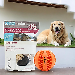 moofin Water Buffalo 056Lb All-Natural Dental Chews for Dogs, Bundle Teeth Cleaning Pet Chew Ball, Long-Lasting, Grain-Free, Variety Pack from Sustainable Sources [7-Pack Assortment]