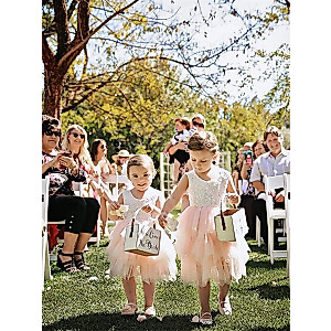 Toddler Girls Baby Girl Lace Back Tiered Tutu Tulle Flower Girl Dress Baby Girl Clothes Pink Dress (6-12 Month, Pink)