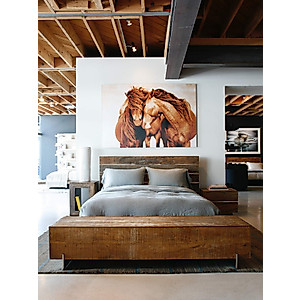 NATURAL LIFE PALMPRING Cambay Twin Mattress - Organic Coconut Coir 8” Extra Firm 1 Layer Comfortable Sleep Bed Dust Free