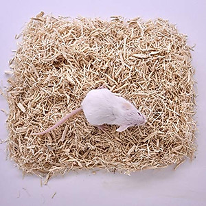 MiceDirect Frozen Mice Combo Pack of 20 Hopper & Weanling Feeder Mice – 10 Hoppers & 10 Weanlings - Food for Corn Snakes, Ball Pythons, & Pet Reptiles - Snake Feed Supplies