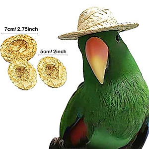 NA Allazone 17 PCS Bird Toys Parrot Swing Toys Pet Birds Cage Toys Chewing Hanging Bell Toys for Parrot, Cockatiel, Conures, Love Birds, Finches, Style 5