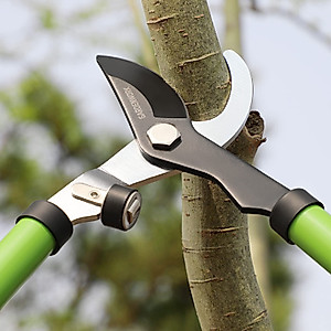 GARDENWORK Extendable Bypass Loppers Tree Trimmer with Compound Action,17-23"Telescopic Heavy Duty Branch Cutter,SK5 Sharp Blade Cutting 2 in Shrubs and Branches