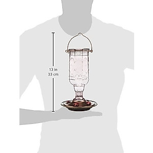 More Birds Amethyst Jewel Hummingbird Feeder, Glass Hummingbird Feeders for Outdoors, 5 Feeding Stations, 20 Ounces