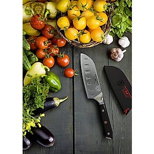 Dalstrong The Shogun Series Santoku Knife 5" Bundled with Premium Whetstone Kit (#1000/#6000 Grit)
