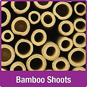 Nature's Way Bird Products PWH1-B Purple Bee House