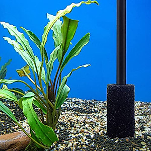 Dannisly 4PCS Aquarium Pre-Filter Foam Sponge Roll Large - Intake Filter Sponge for Aquarium Fish Tank