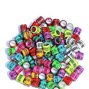 Gazechimp 50pcs Reusable 2023 Pigeon Leg Rings Numbered 8mm Bird Foot Bands for Parrot, Quail, Chicks, Small Poultry, Canary, Lovebirds, Ducks, Mixed Color
