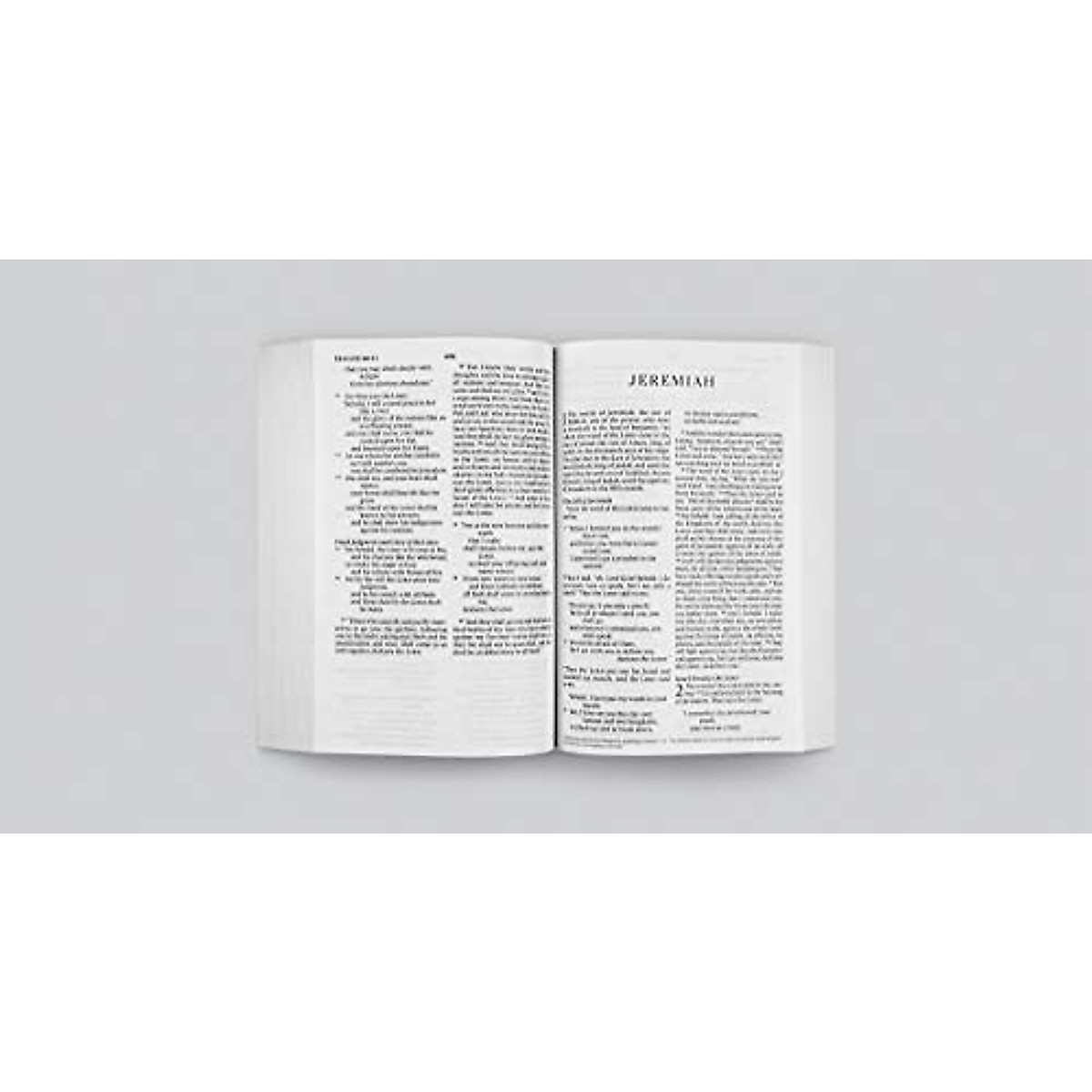 ESV Economy Bible, Large Print