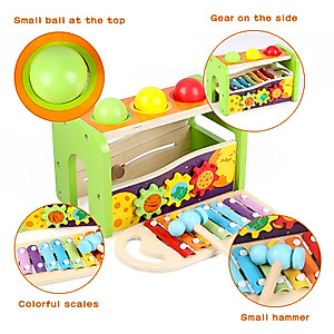 Canuan 4-in-1 Hammering Pounding Toys, Pound & Tap Bench with Slide Out Xylophone, Multifunctional Montessori Wooden Musical Pounding Toys for 1 2 3+ Years Boy Girl Baby Toddlers
