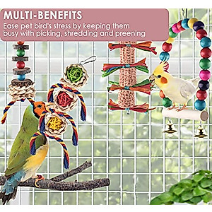 KATUMO Bird Toys, Parrot Chew Toys Parakeet Perch Conure Swing Cockatiel Cage Toys for Lovebird Conure Parakeet and Small Birds