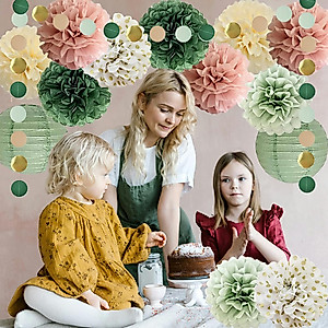 Sage Green Dusty Pink Tissue Paper Pom Poms Decorations Paper Lanterns Sage Green Dusty Pink Party Decorations Cicle Dots Garland for Bridal Shower Baby Shower Wedding Birthday Party Decorations