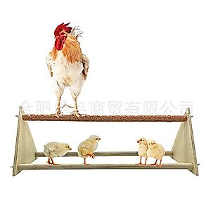 LDYGRattanArt Chicken Perch for Chicks Chicken Wood Stand with Chicken Swing Chicken Mirrors Chick Stand Trainning Perch Toy Toy for Hens