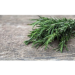 Rosemary Seeds for Planting, 100+ Heirloom Seeds Per Packet, (Isla's Garden Seeds), Non GMO Seeds, Fragrant Herb, Botanical Name: Salvia rosmarinus, Great Home Garden Gift