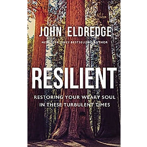 Resilient: Restoring Your Weary Soul in These Turbulent Times