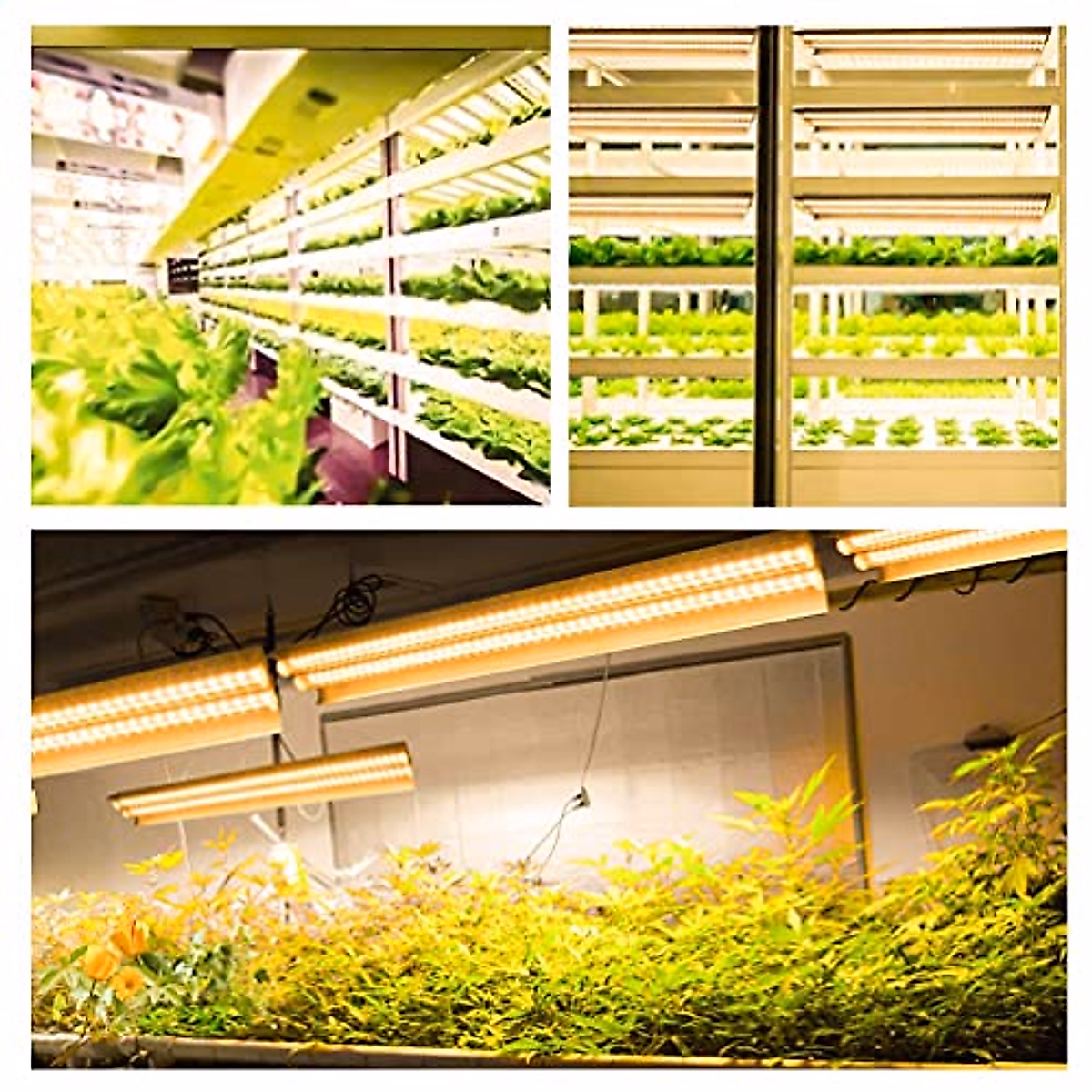 Monios-L T5 LED Grow Light, 4FT Full Spectrum Sunlight Replacement, 60W High Output Integrated Fixture with Rope Hanger for Indoor Plants, Hydroponics, Seedling, Growing, Blooming