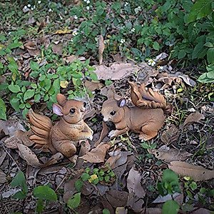 Squirrel Two pcs Resin Animal Garden Figurines Outdoor and Garden Decor Patio Yard (Resin, 5.8inch)