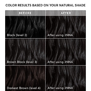 Madison Reed Radiant Hair Color Kit, Darkest Brown Black for 100% Gray Coverage, Ammonia-Free, 3NNA Positano Black, Permanent Hair Dye, Pack of 1