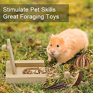 ZALALOVA 3 Pcs Guinea Pig Toys Hamster Enrichment Foraging Toys, Bamboo Interactive Hide Treats for Small Animals Pet Foraging Game Educational Toys for Rabbit Chinchilla Bunny