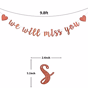 Rose Gold Glitter We Will Miss You Banner--Retirement Party Decorations Sign-Going Away Party Decor-Farewell Party Decorations-Office Work Party Decorations