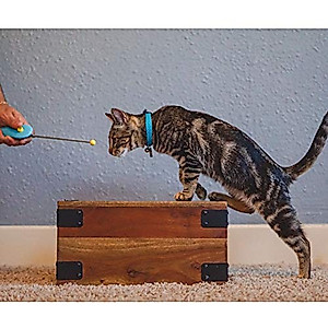 CAT SCHOOL Clicker Training Kit for Cats - 1 Cat Training Clicker, 1 Target Stick, 1 Step-by-Step Instruction Booklet - Clicker Tools for Cat Training, Fist Bump Training, Positive Behavior