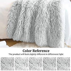 JONIYEAR Decorative 2.8" Long Hair Soft Fuzzy Faux Fur Throw Blanket 50" x 60",Luxury Reversible Fluffy Blankets for Couch Sofa Chair,Lightweight Accent Cozy Plush Thick Warm Shaggy Furry Blanket,Grey