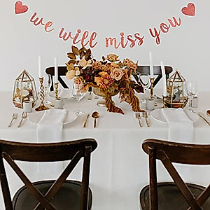 Rose Gold Glitter We Will Miss You Bunting Banner Party Decorations for Going Away Party, Farewell Party, Retirement Party Supplies