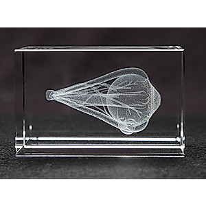 Eye 3D Laser 1lb Crystal, Anatomy, Ophthalmology