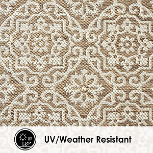 Nicole Miller New York Patio Country Danica Transitional Geometric Indoor/Outdoor Area Rug, Brown/Beige, 5'2"x7'2"