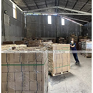 HOUSEBOOK - 2 Packs Premium Wooden Plant Stand Caddy 30cm Square Garden Plant Pot Trolley 360 Deg Movable, Waterproof Planter Caddy, 12", Wholesale Available, 30cm, Holds Up 240 Lbs, Black