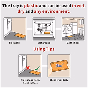 10 Pack Sticky Mouse Trap Rat Traps Indoor, Mouse Traps Indoor for Home, Glue Traps for Mice and Rats, Snake(Large Size)