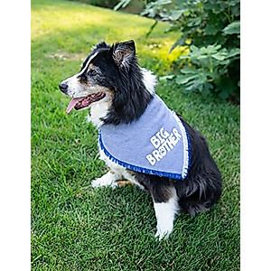 Everything Tailed Blue Big Brother Dog Bandana for Pregnancy Announcement, Pet Photo Prop, Handkerchief and/or Scarf for Dog, Fits Medium to Large Dogs