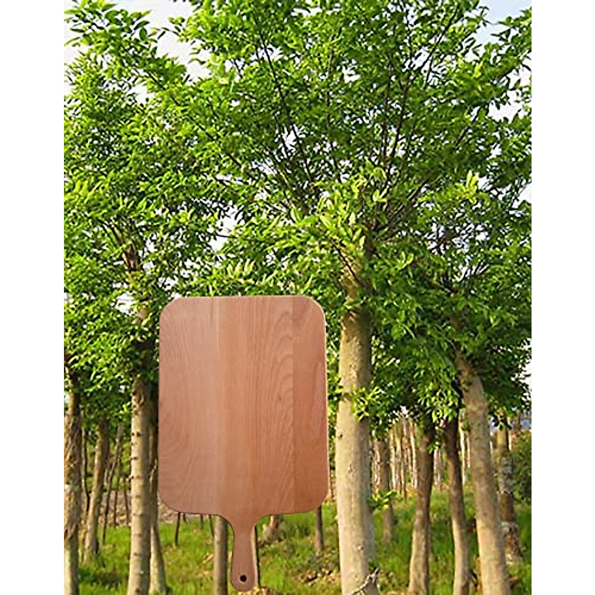 Wood Cutting Board With Handle,Large Wooden Chopping Board for Kitchen,Charcuterie Boards Meat Cheese Pastry Fruit Bread Board,Serving Board Butcher Block,tabla de picar cocina16X9''