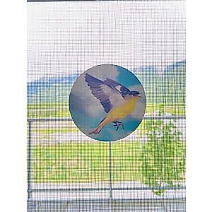 Retractable Screen Door Decals (Stickers) - 6 per Package - Keep Children Safe - Alert Birds, Dogs, Kids - Warn, Protect, Window Safety - Birds