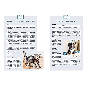 保護猫の育て方
