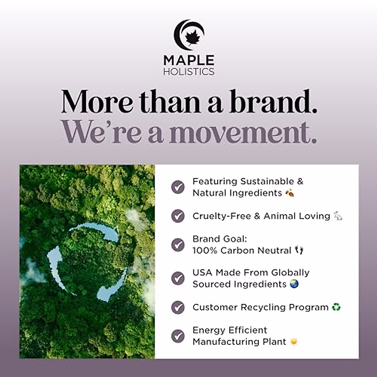 Sage and Rosemary Shampoo Sulfate Free - Sage Oil Clarifying Shampoo for Build Up and Scalp Moisturizer - Oily Hair Shampoo for Greasy Hair and Dry Scalp Treatment with Essential Oils for Hair